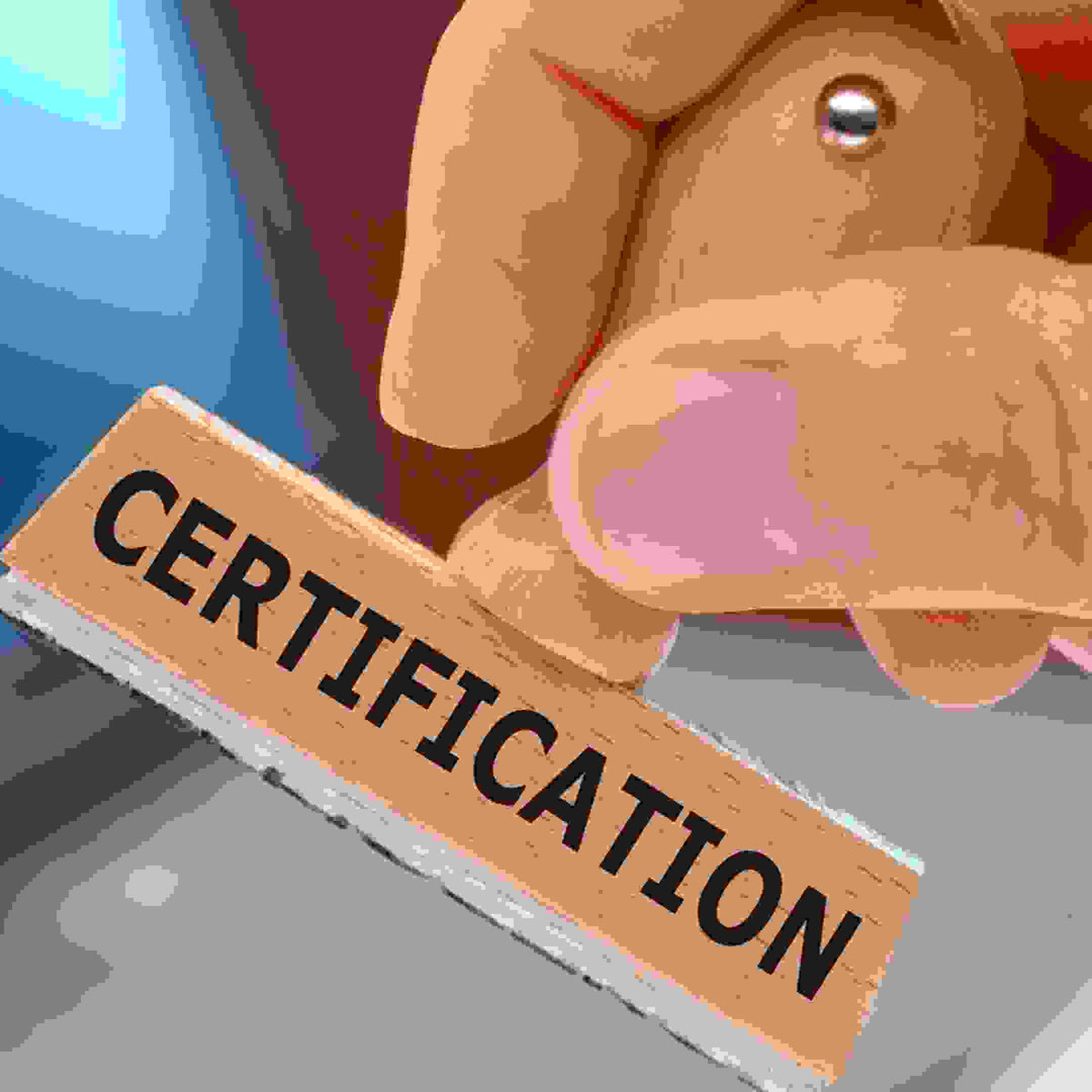 PMP - Project Management Certification Exam Preparation | G-Talent ...